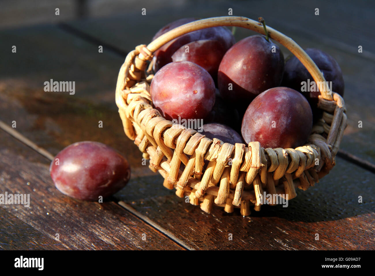 Real plum hi-res stock photography and images - Alamy