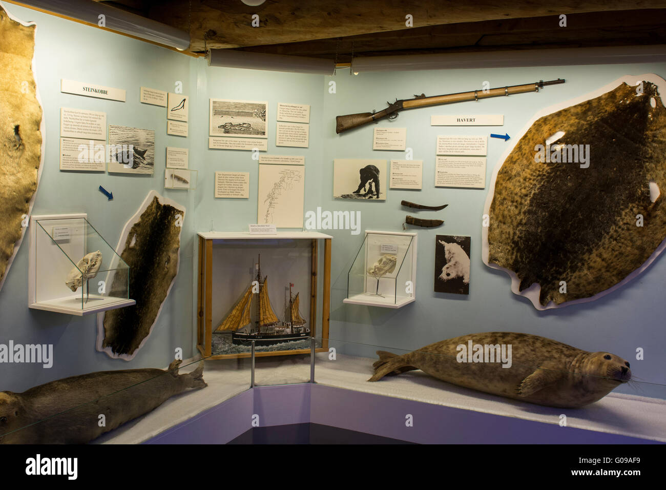 Norway, Tromso. The Polar Museum, home to a collection about Arctic ...