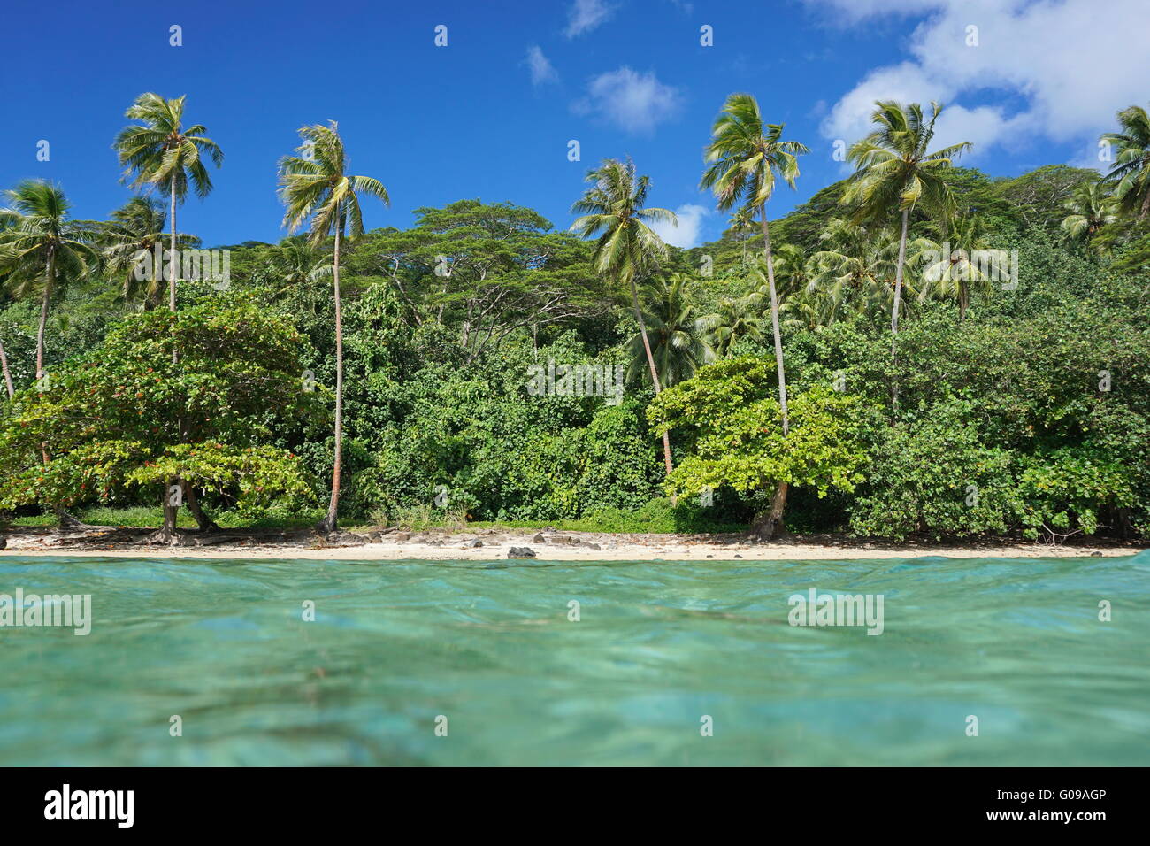 Coastal landscape of a shore with lush tropical vegetation, Huahine ...