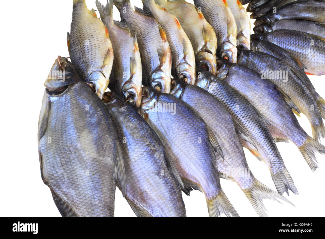 Salted and dried river fish on a white background Stock Photo - Alamy