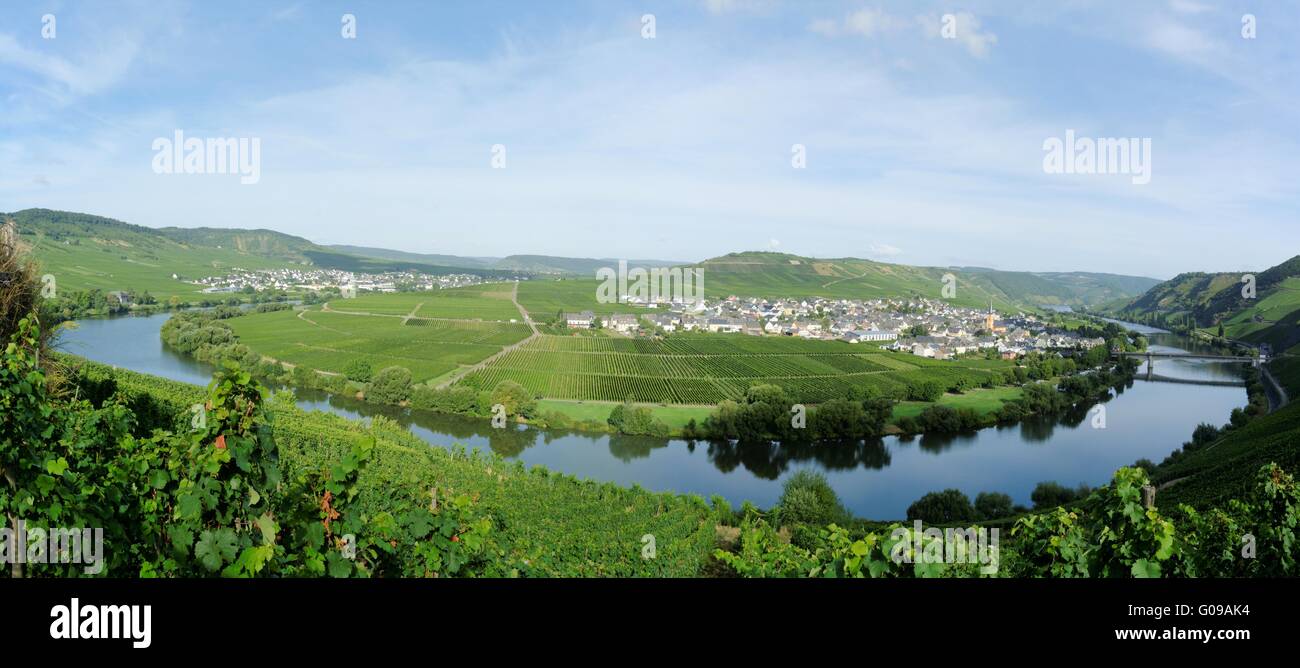 Bend of the Moselle Trittenheim Stock Photo - Alamy