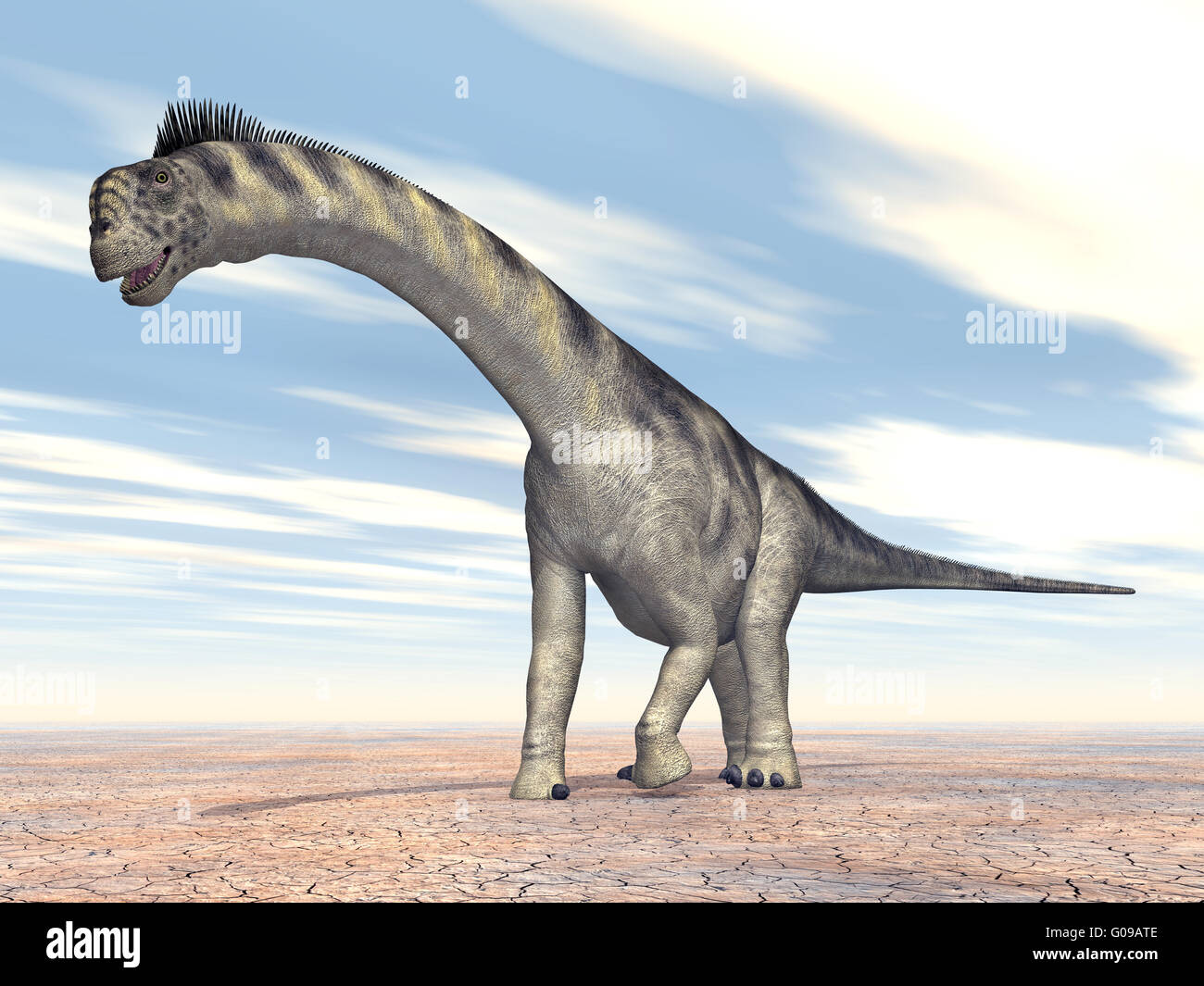 Dinosaur camarasaurus hi-res stock photography and images - Alamy