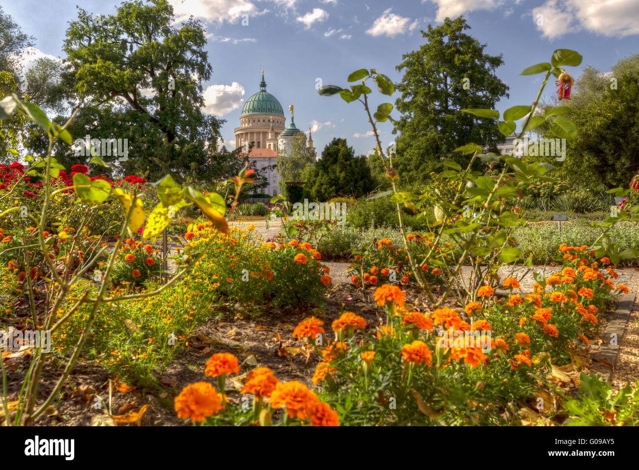 Dome and old town hall in Potsdam behind a flowered park Stock Photo ...