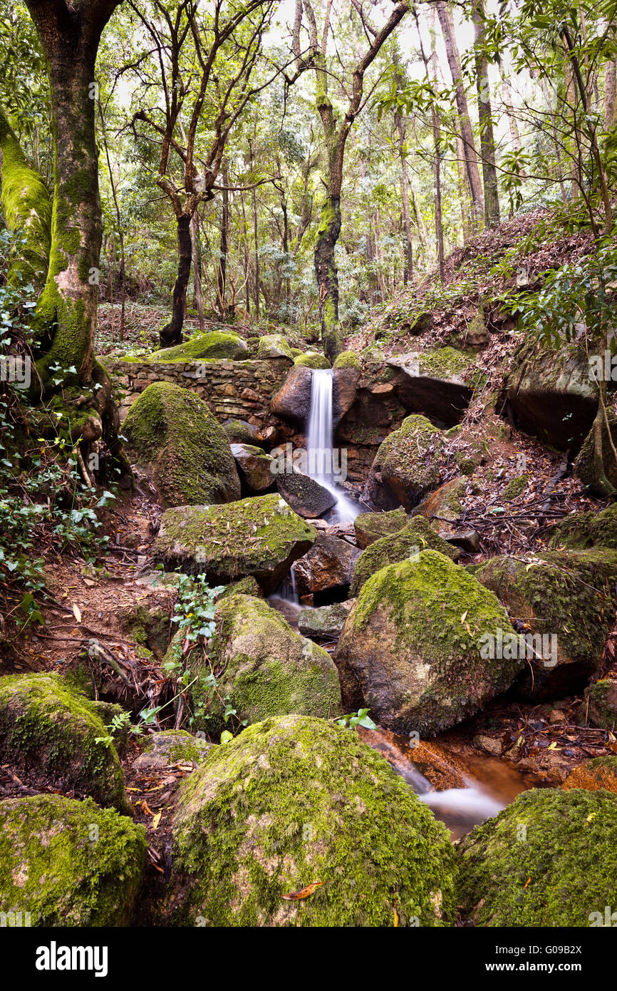 Vegetation and waterfall hi-res stock photography and images - Alamy