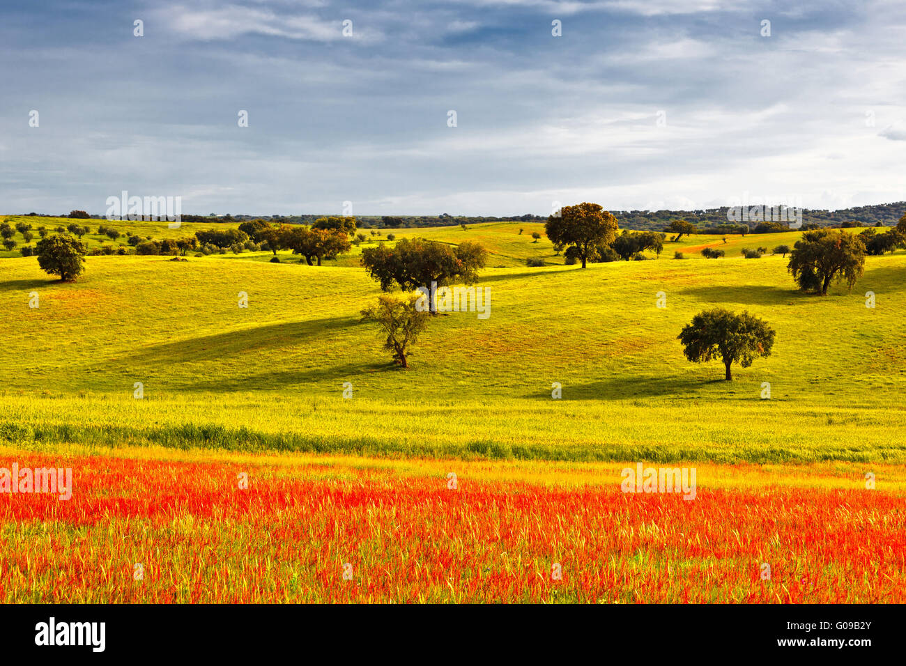 Greenfield at the beginning of spring Stock Photo - Alamy