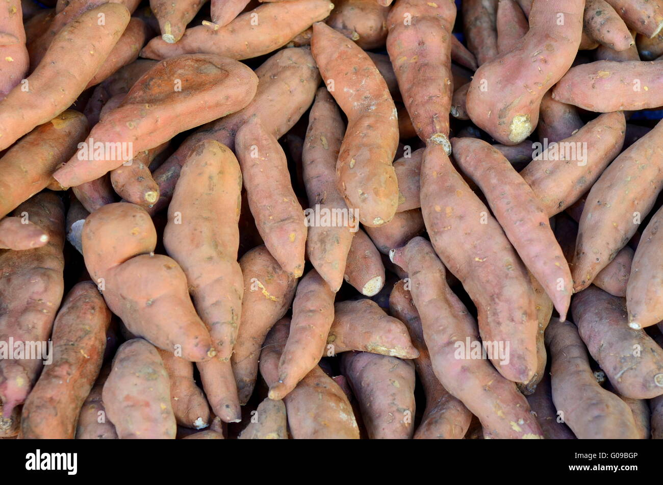 Abstract Background Of Yam (Sweet Potato) Vegetables At A Market Stock ...