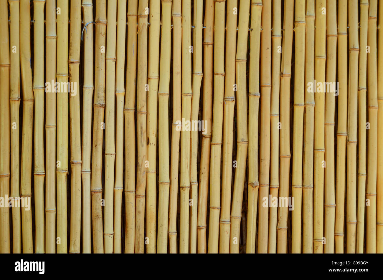 Bamboo screen background hi-res stock photography and images - Alamy