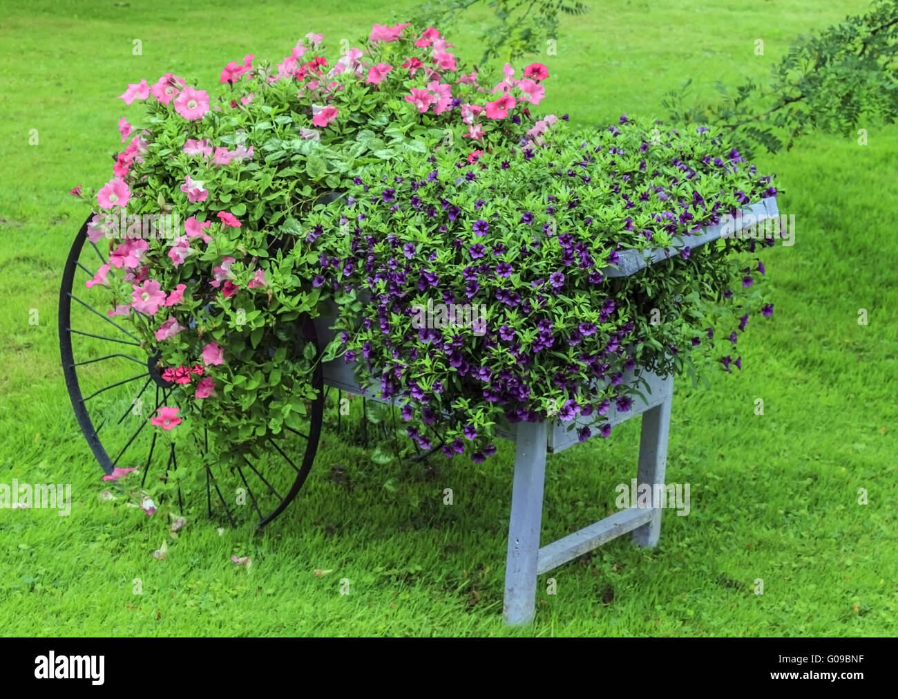 Flower Cart Penn Yan New York at Jackie Proctor blog