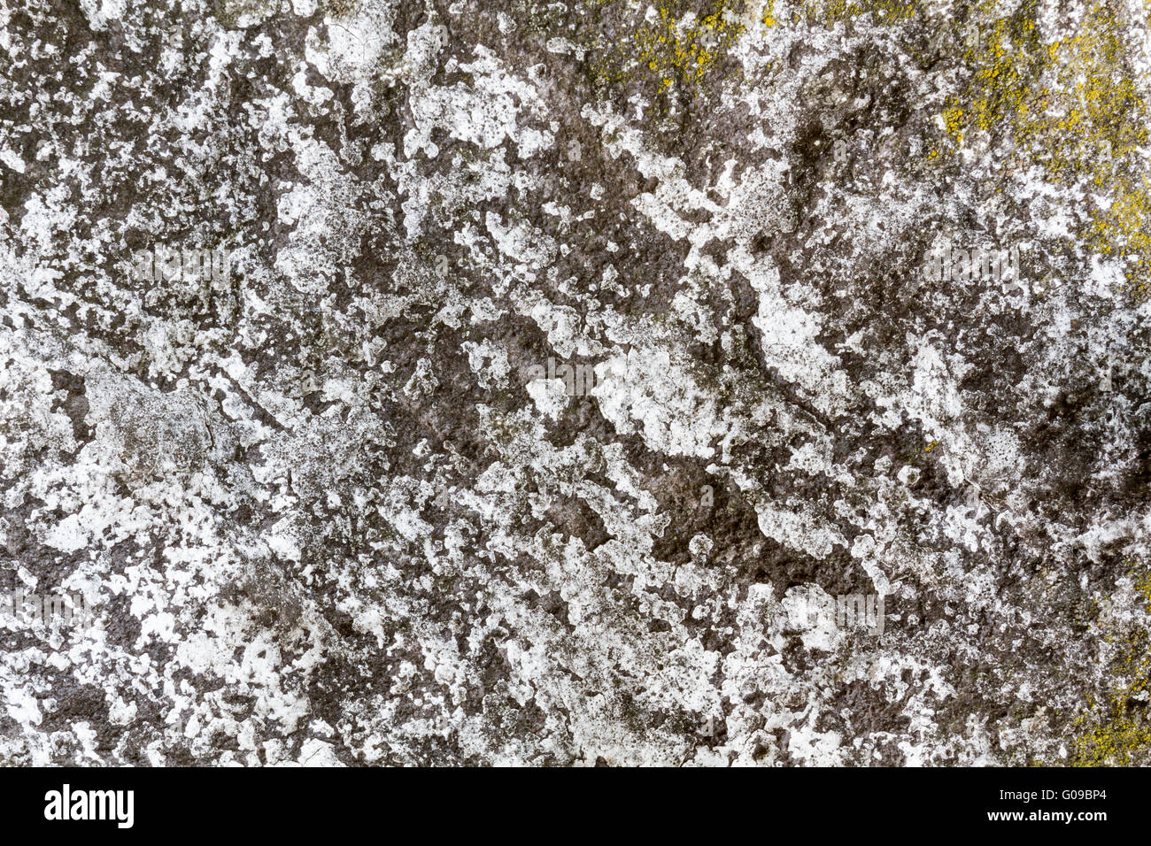 Weather beaten face hi-res stock photography and images - Alamy
