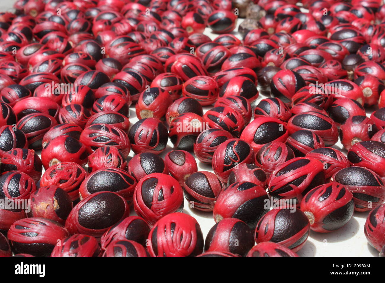 Muscat Spice High Resolution Stock Photography and Images - Alamy