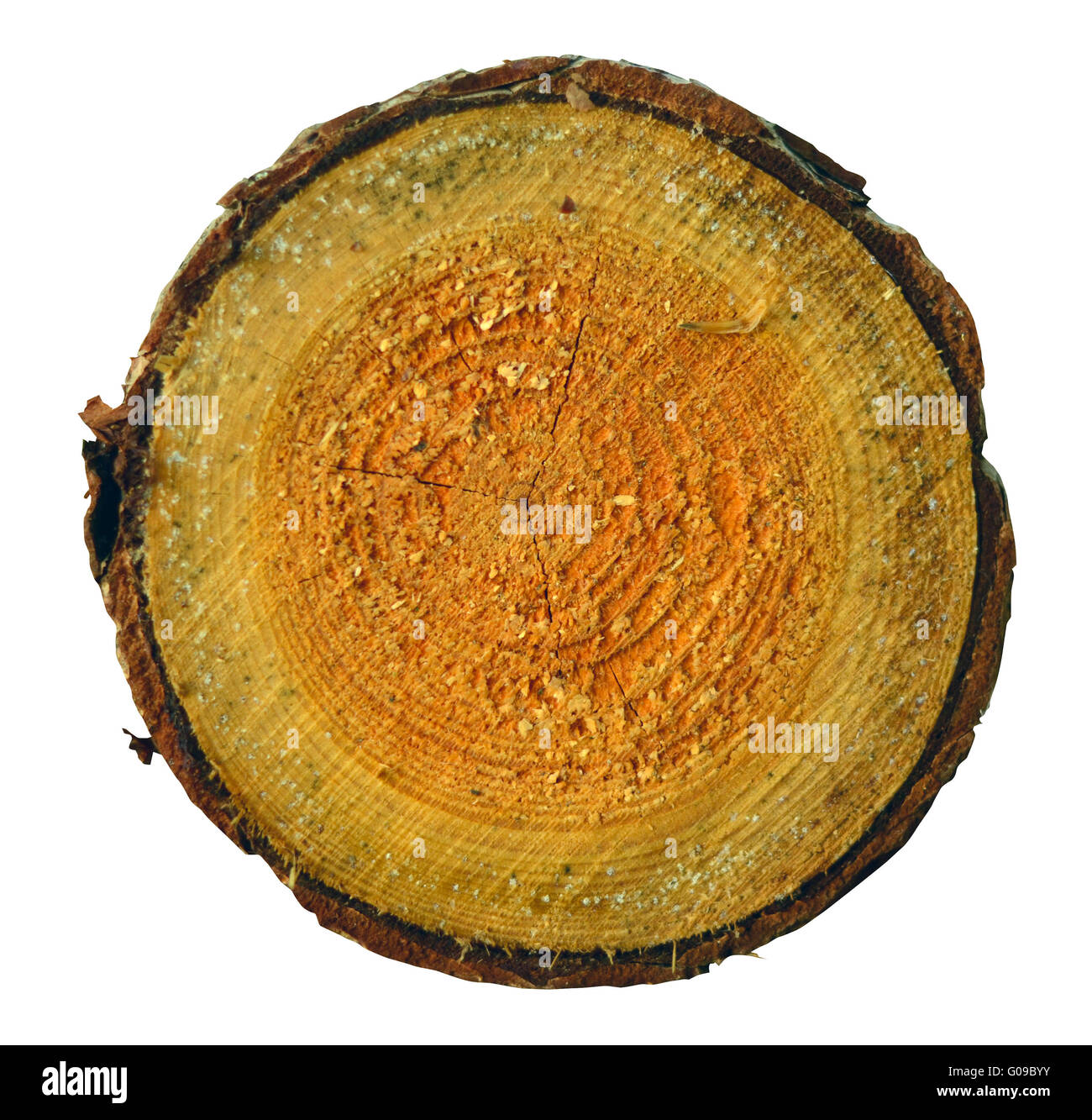An Isolation of Grungy Cut Wood WIth Clipping Path Stock Photo - Alamy
