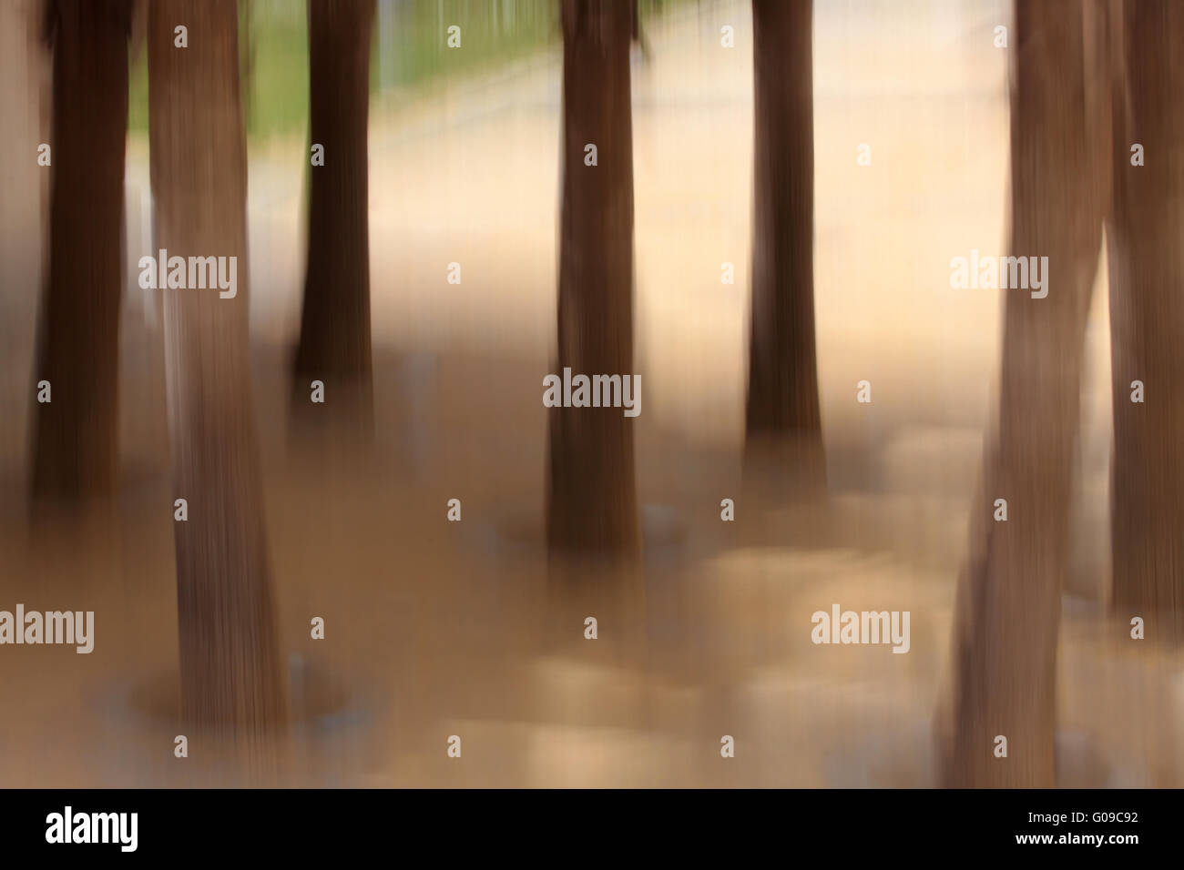 Blurred Trees 004 Stock Photo - Alamy