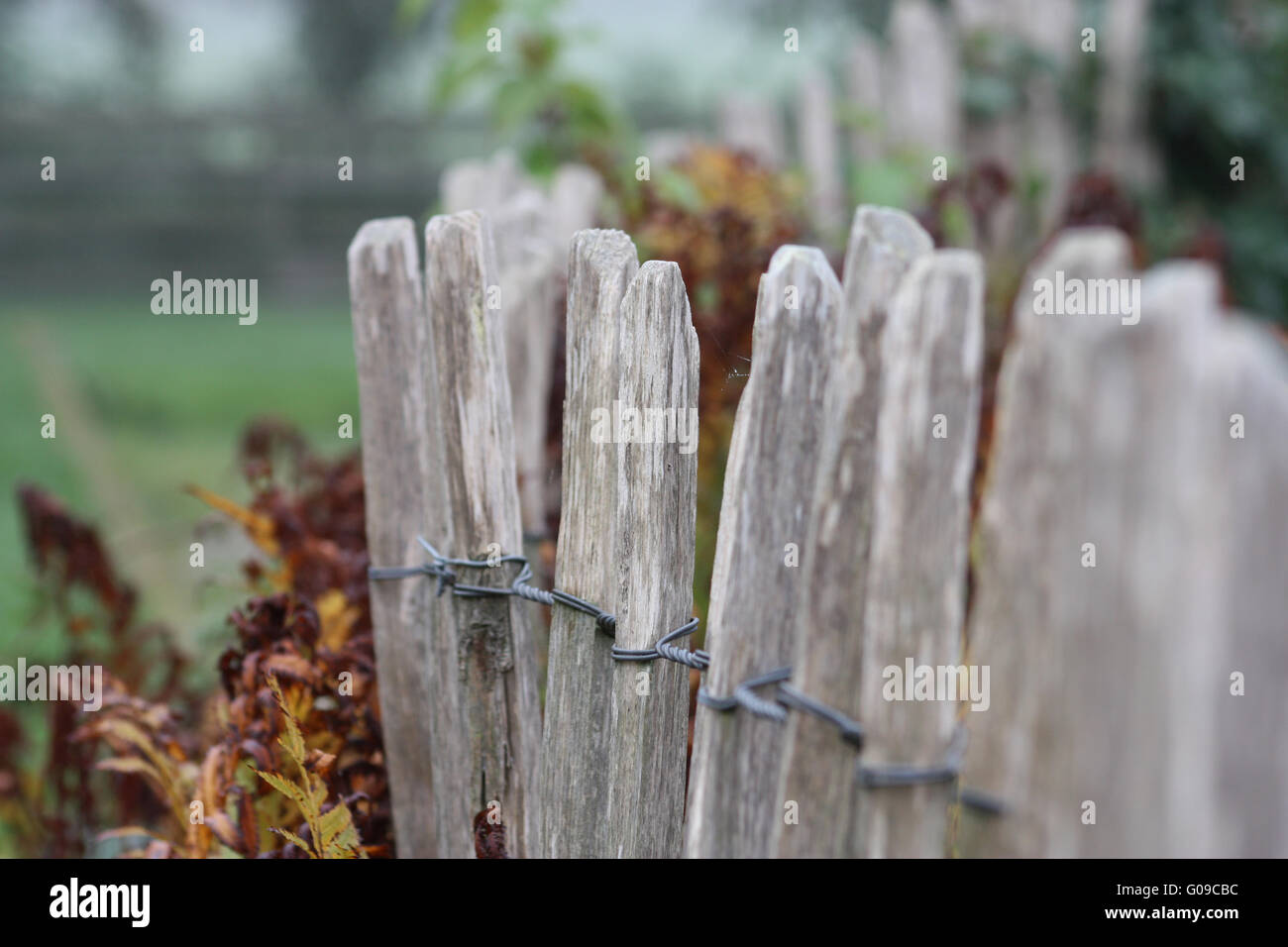 fence in the netherlands Stock Photo - Alamy