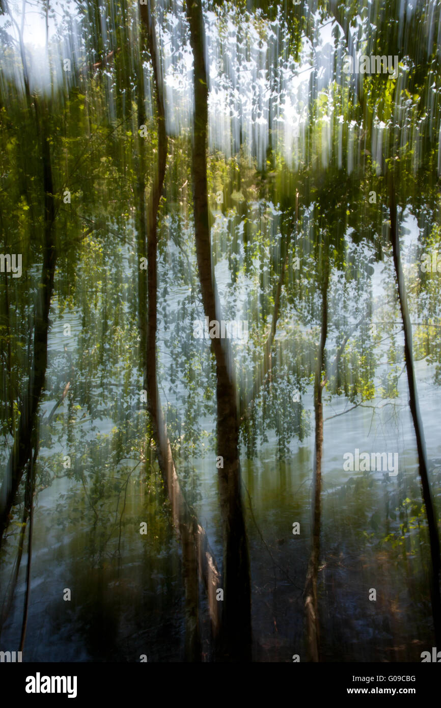 Blurred Trees 011 Stock Photo - Alamy