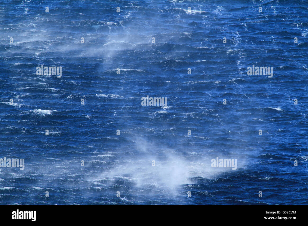 Raging sea with furious waves and fierce wind Stock Photo - Alamy