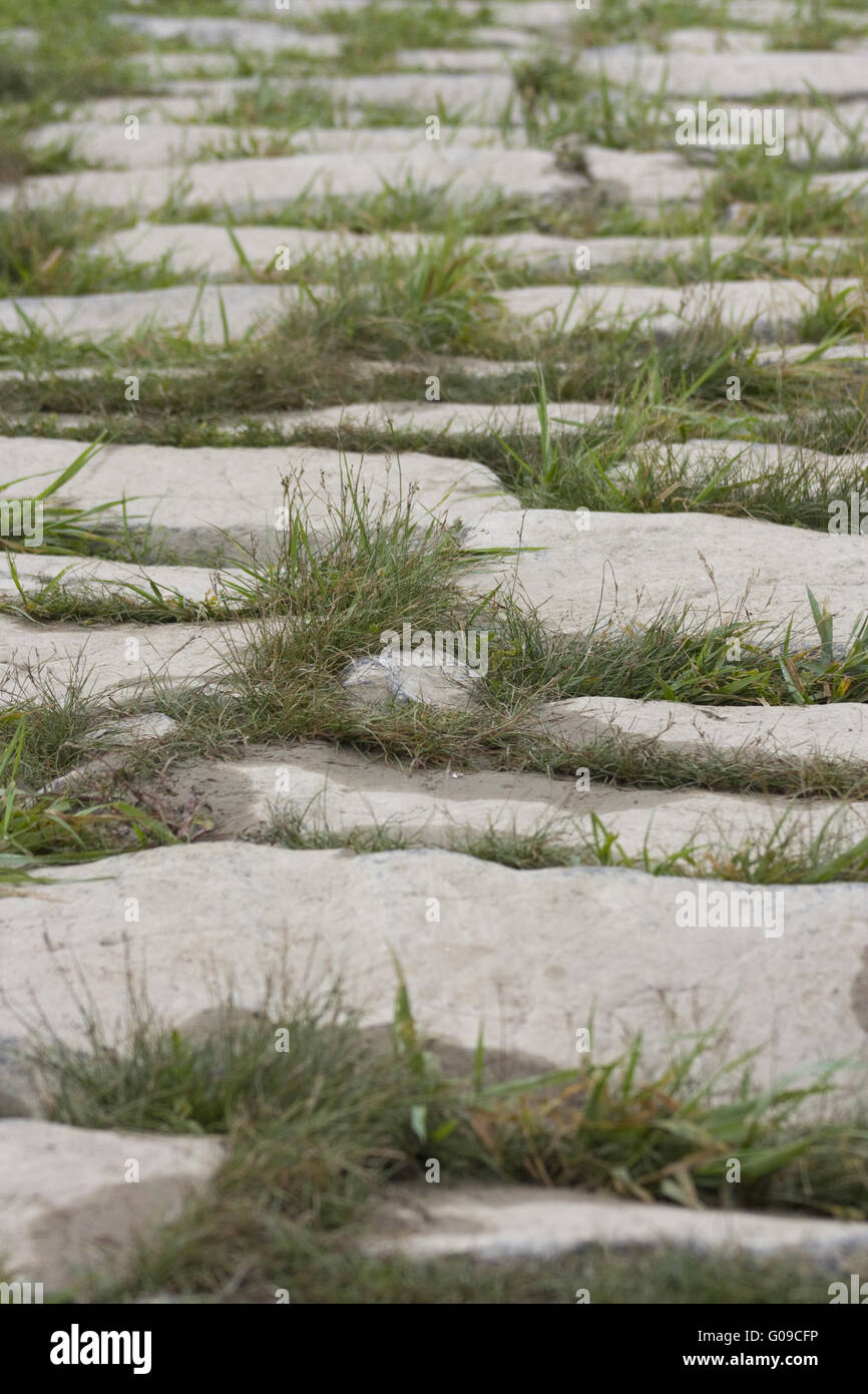 Wet stone path hi-res stock photography and images - Alamy