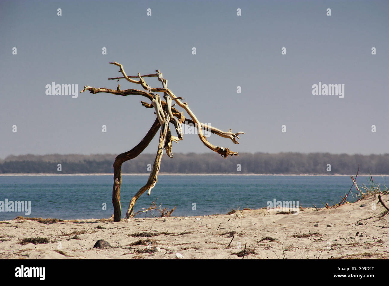 Flotsam sea hi-res stock photography and images - Alamy