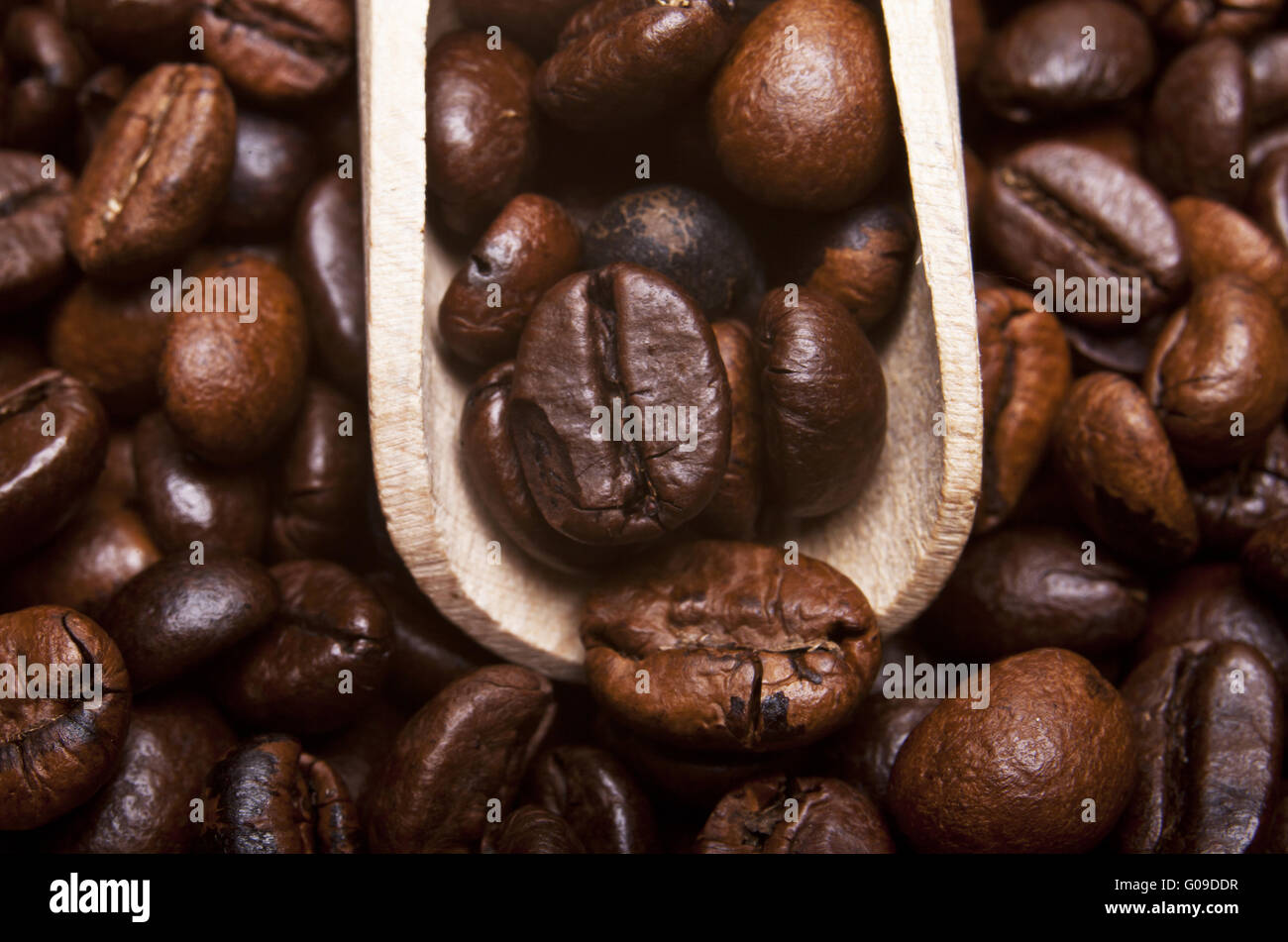 Coffee morning group hi-res stock photography and images - Alamy