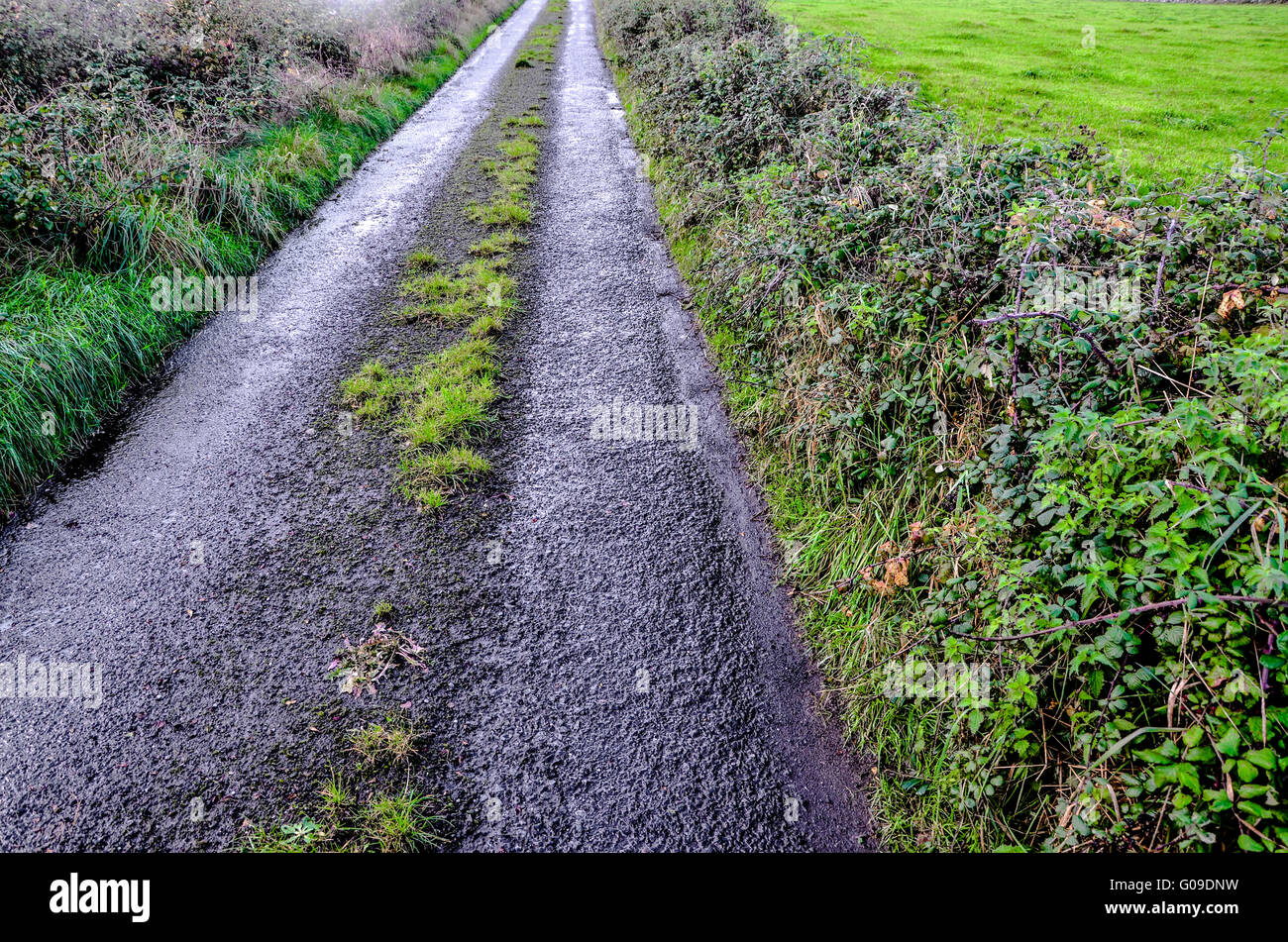 Typical irish country road hi-res stock photography and images - Alamy