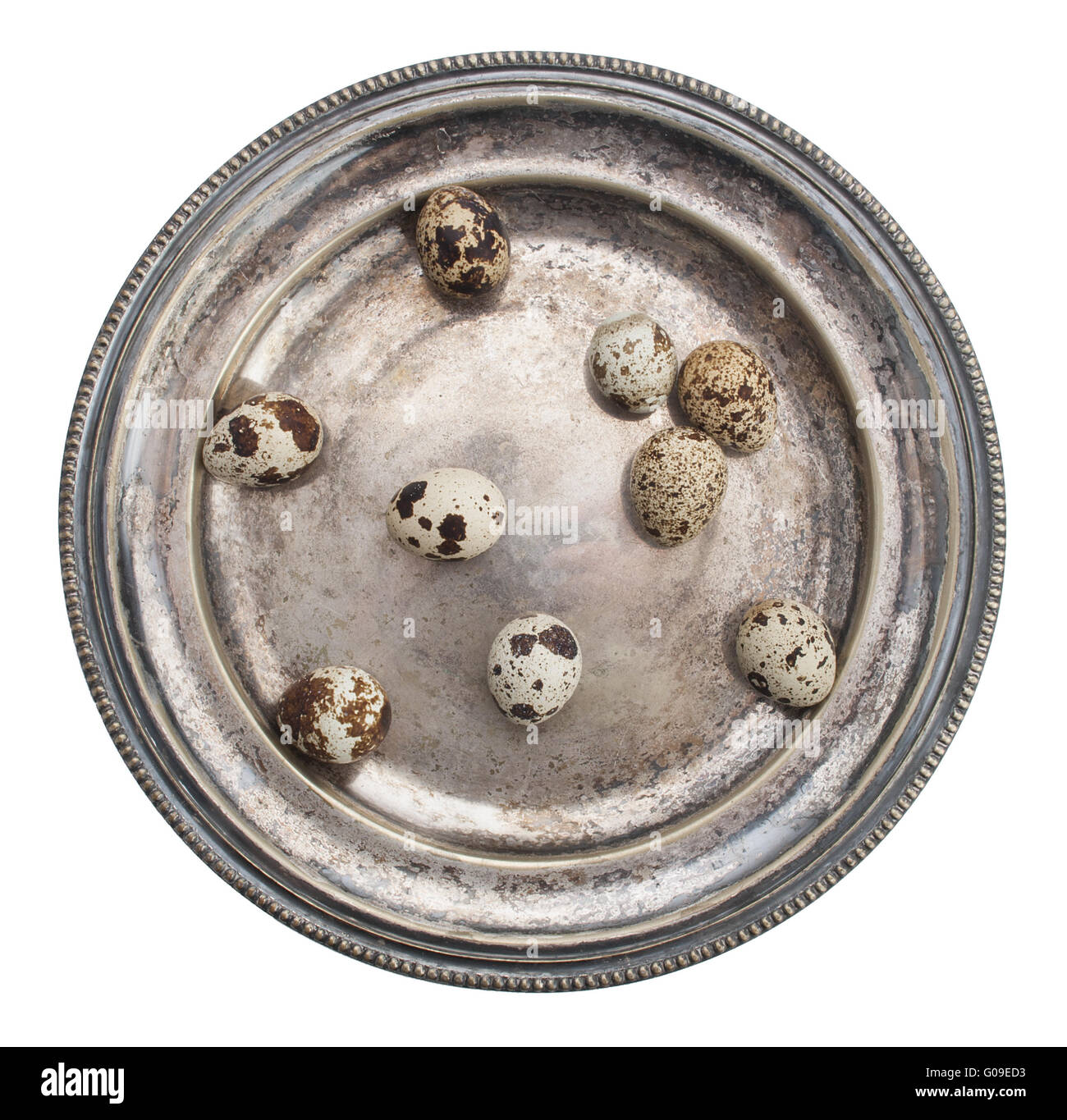 Silver quail hi-res stock photography and images - Alamy