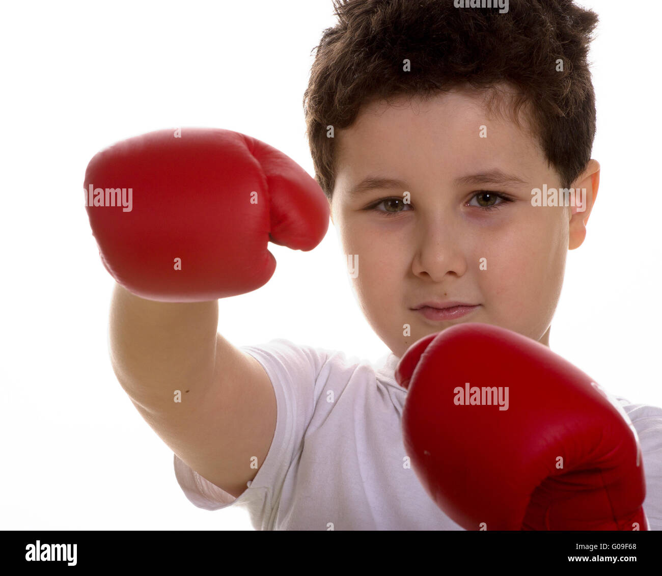 Portrait of the young boxer training isolated white background Stock ...