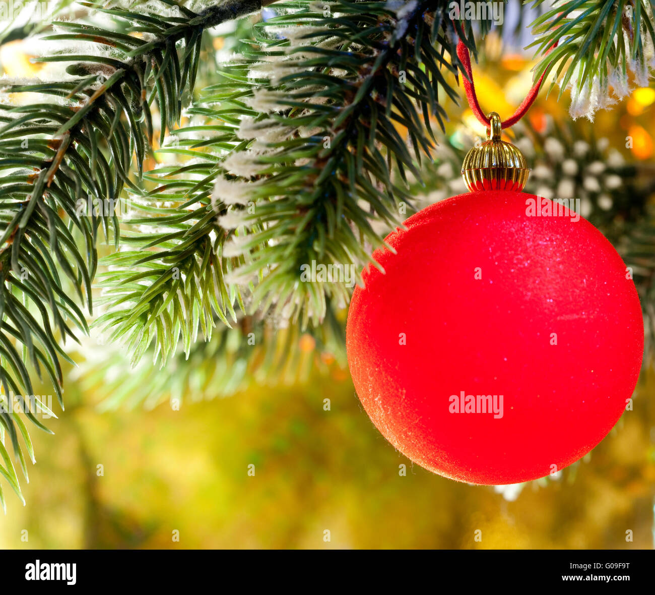 Red New Year's ball on a branch of a Christmas tre Stock Photo - Alamy