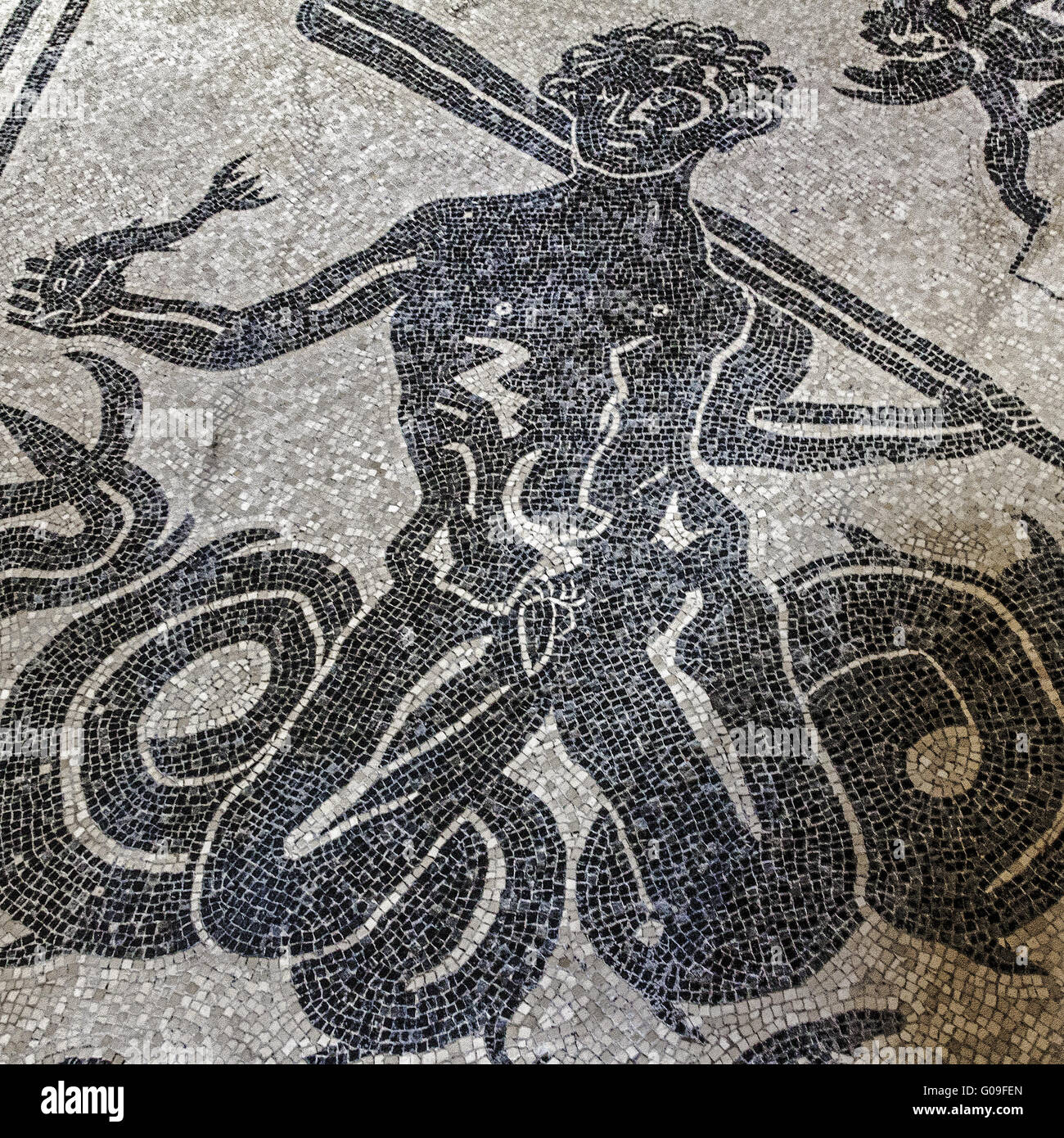 God Neptune Mosaic Womans Bath Herculaneum Italy Stock Photo - Alamy