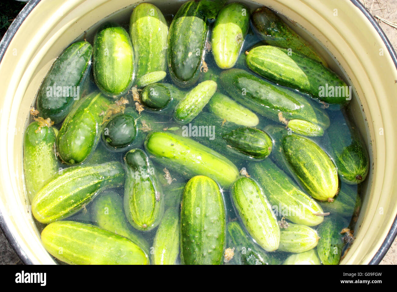 Cucumber pickle process hi-res stock photography and images - Alamy
