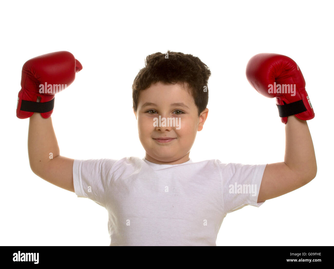 Portrait of the young boxer training isolated white background Stock ...