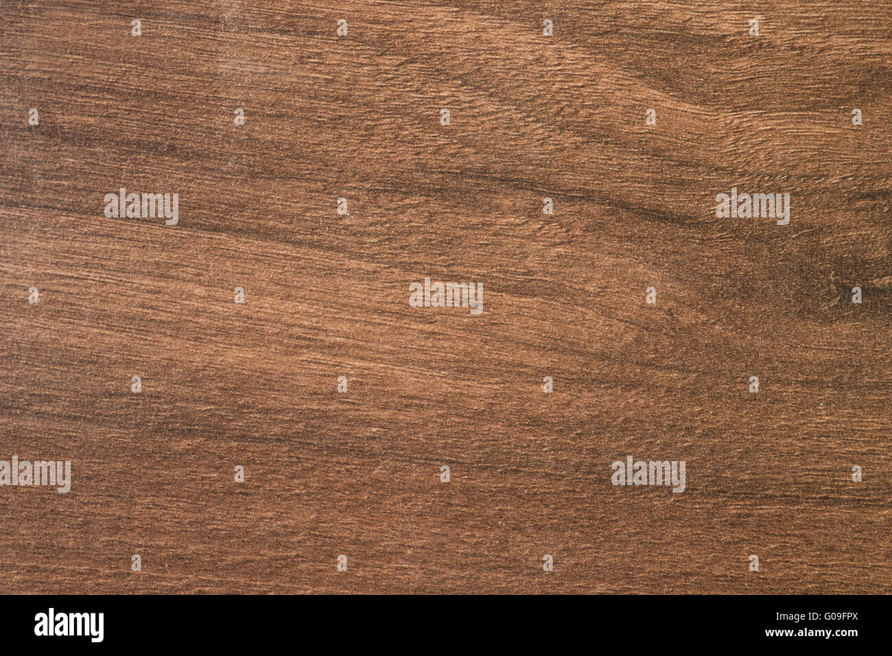 Pacific walnut tree Wooden texture Stock Photo - Alamy