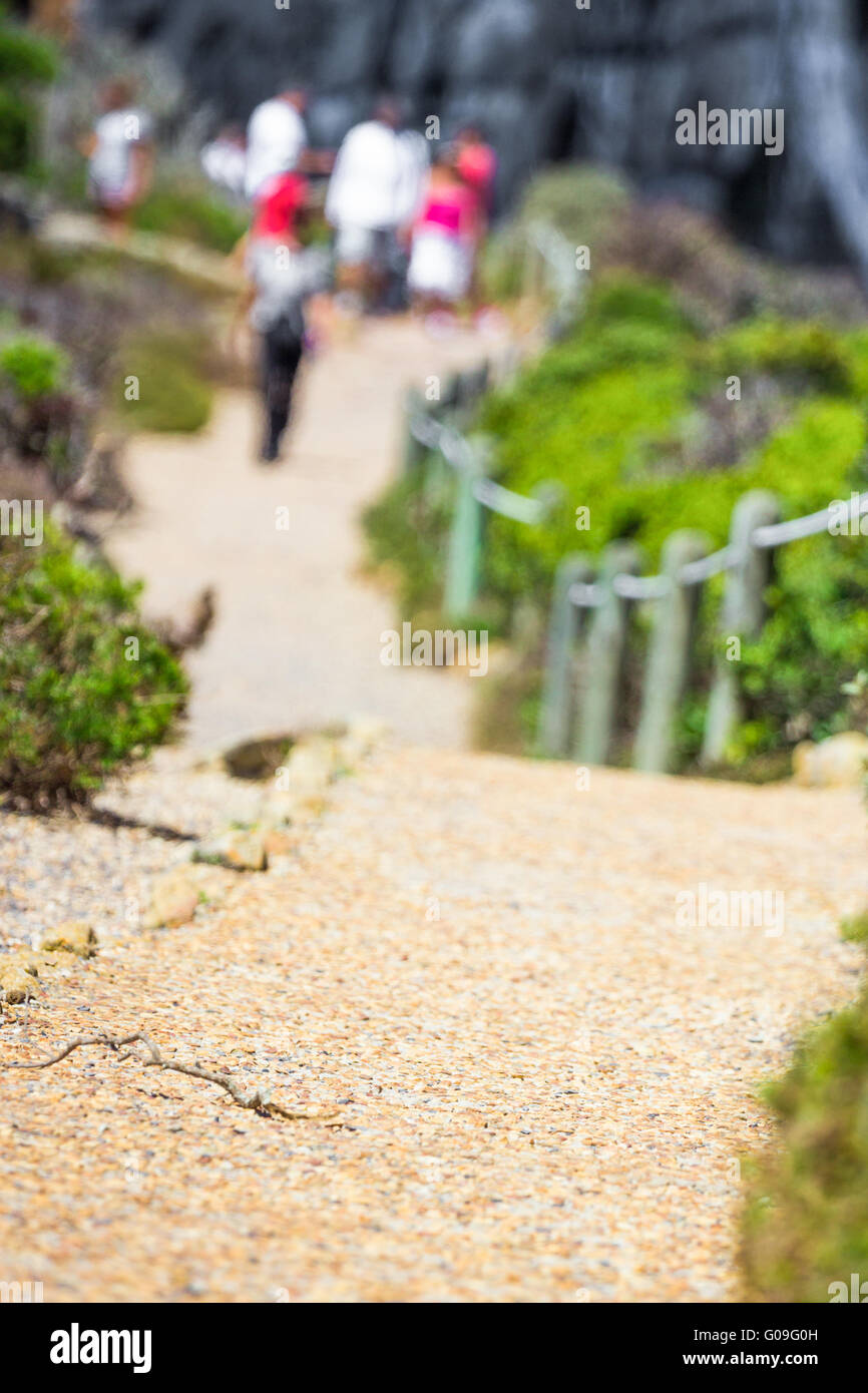 Pathway in the nature Stock Photo - Alamy