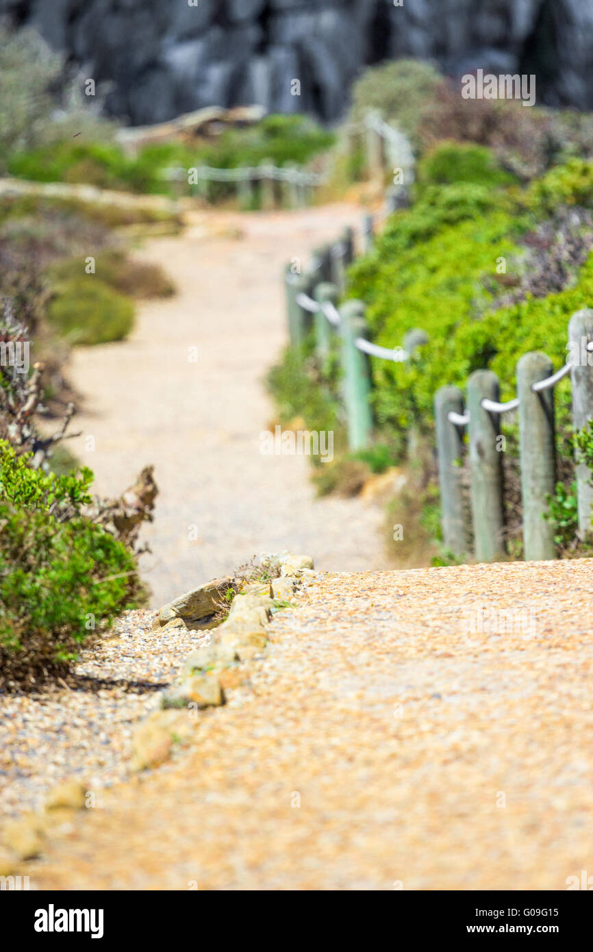 Pathway in the nature Stock Photo - Alamy