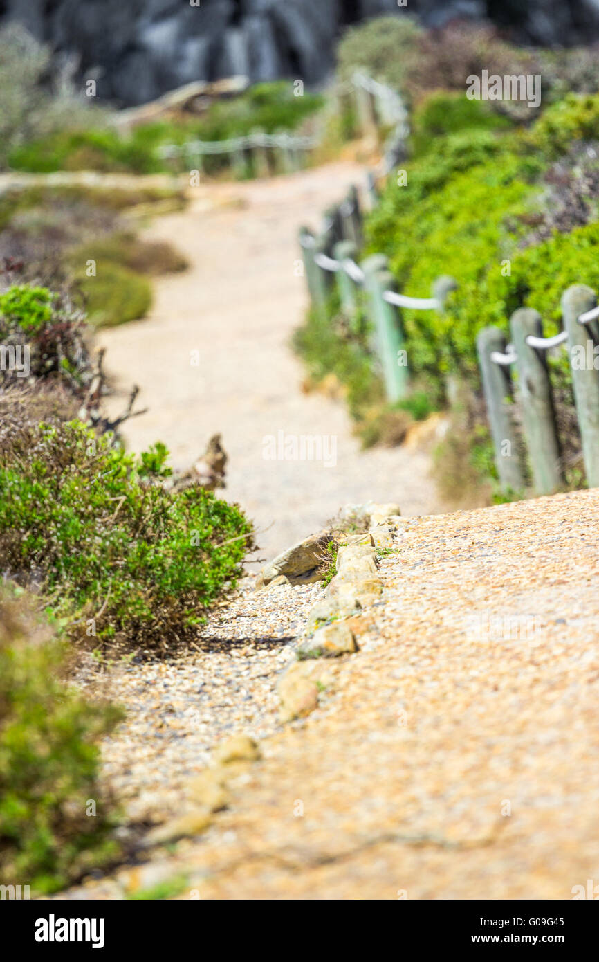 Pathway in the nature Stock Photo - Alamy
