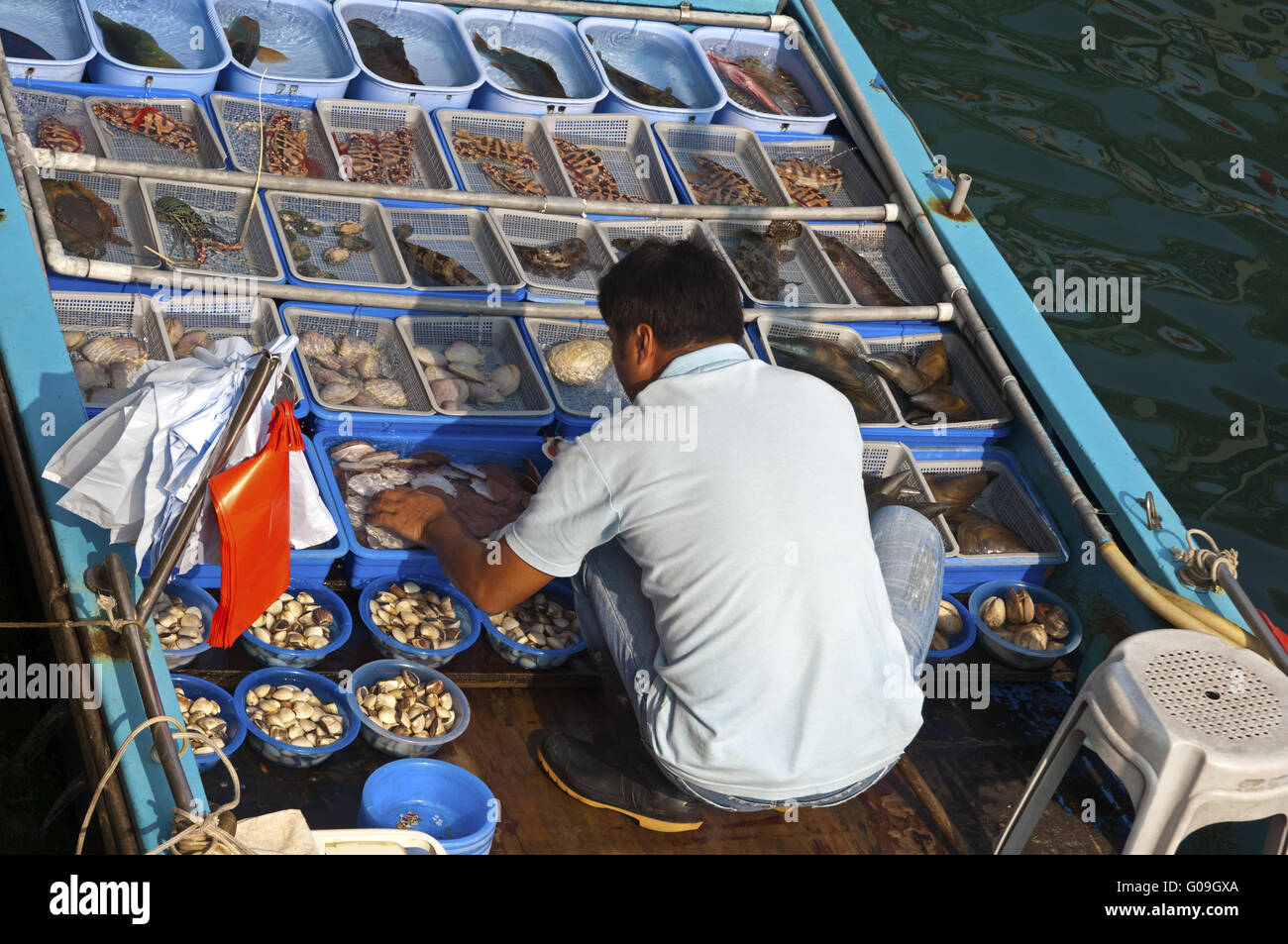 Fish monger checking water basin with fish,Hong K Stock Photo - Alamy
