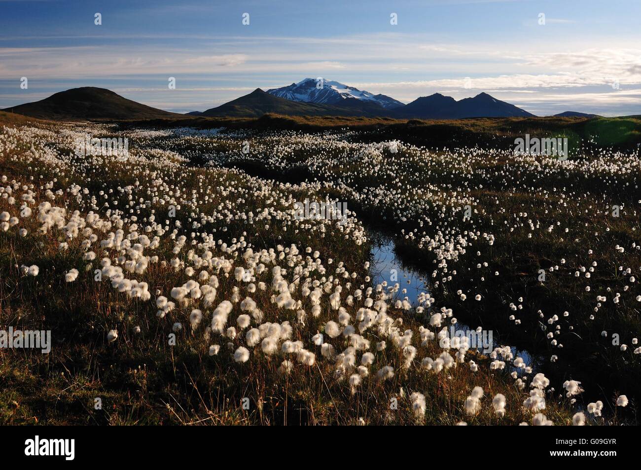Volcano snaefell iceland hi-res stock photography and images - Alamy
