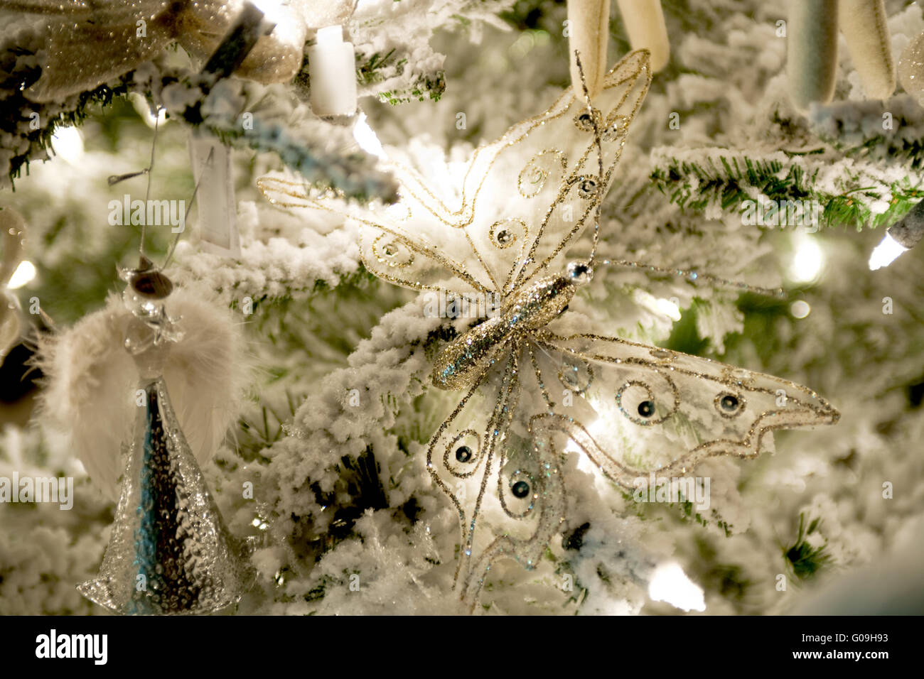 Insect decoration hi-res stock photography and images - Alamy