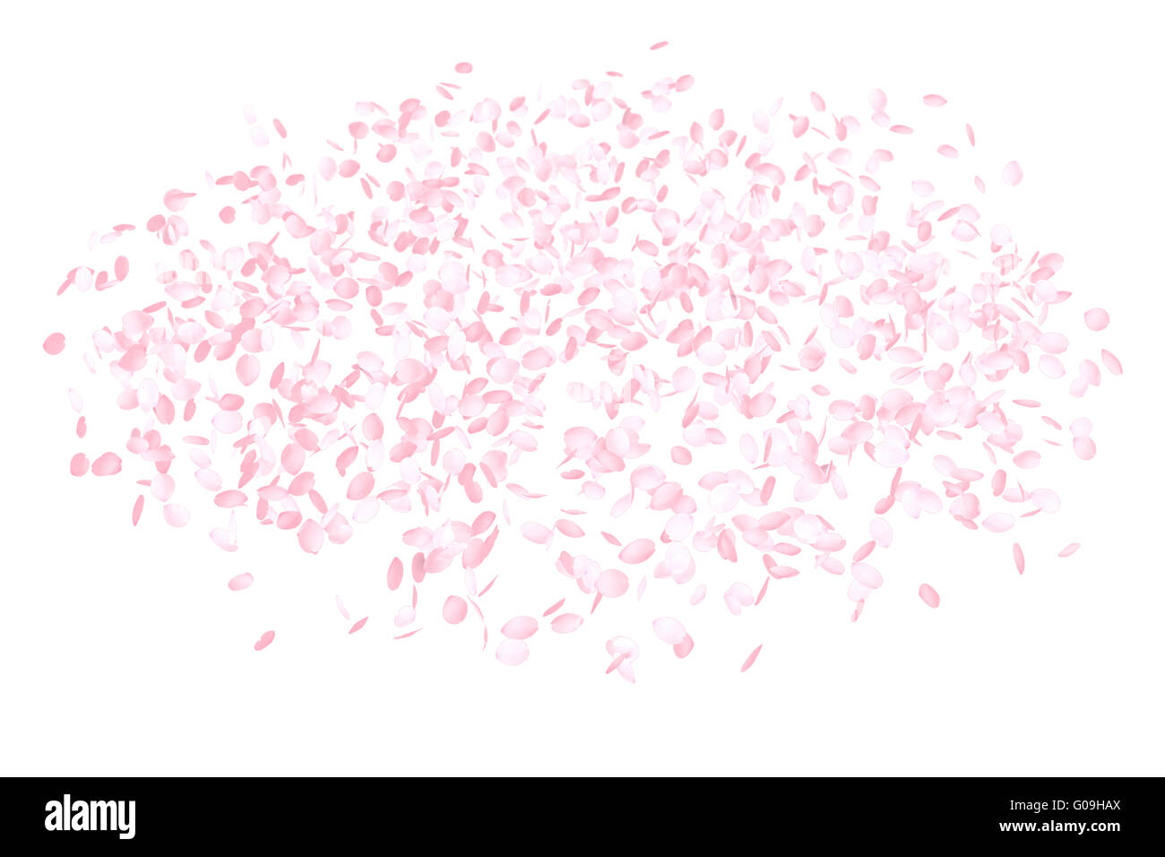 Cherry petals falling Cut Out Stock Images & Pictures - Alamy