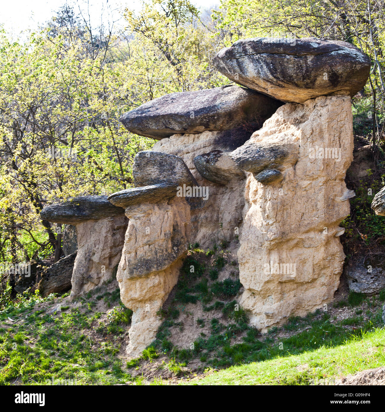Imaginative forest landscape Stock Photo - Alamy