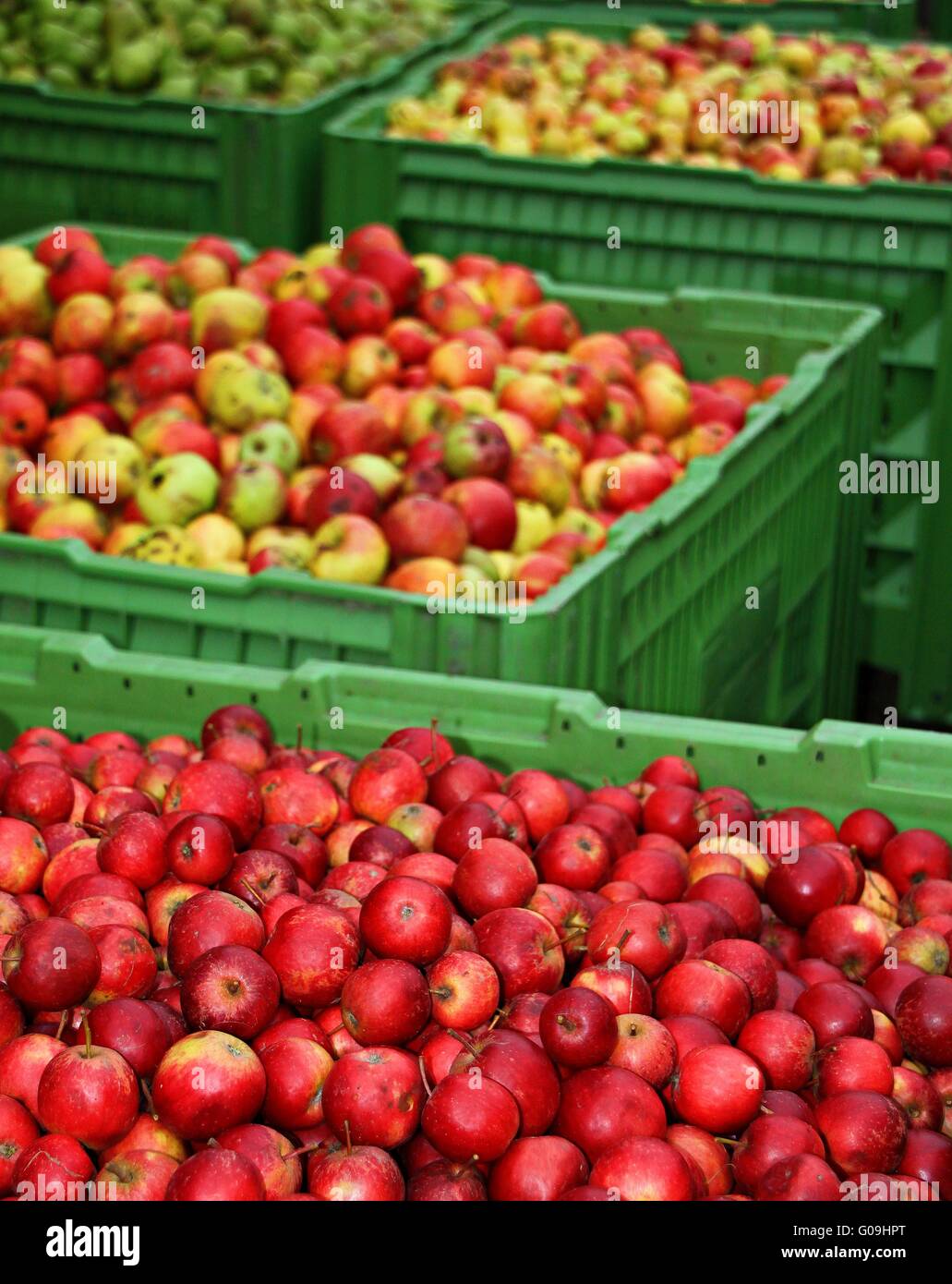 Apples in boxes Stock Photo - Alamy