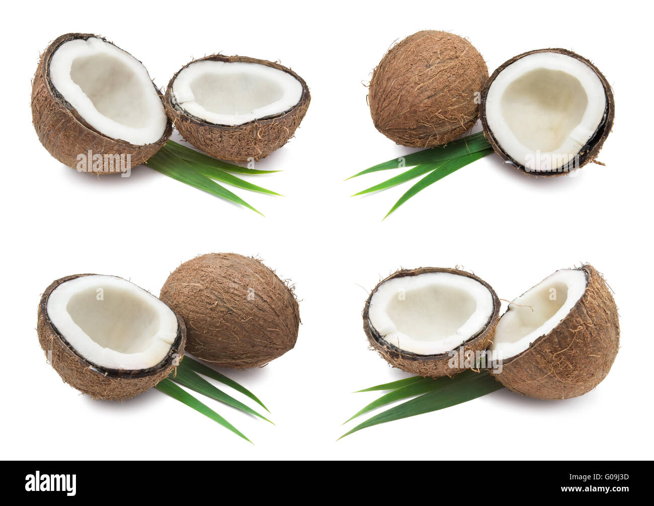 Hard shell of coconut Cut Out Stock Images & Pictures - Alamy