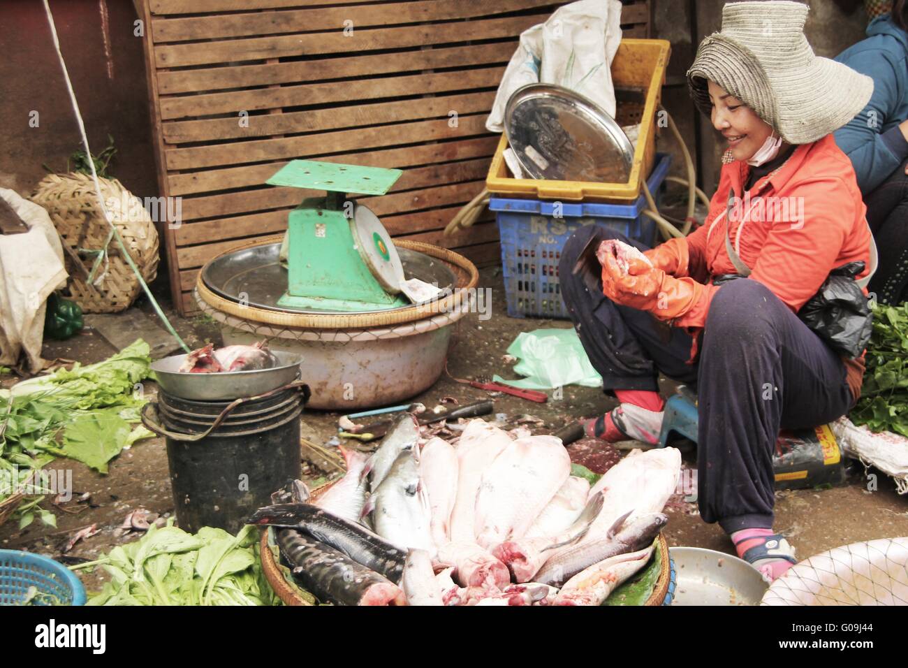 Fish seller on the market in Battambang Stock Photo - Alamy