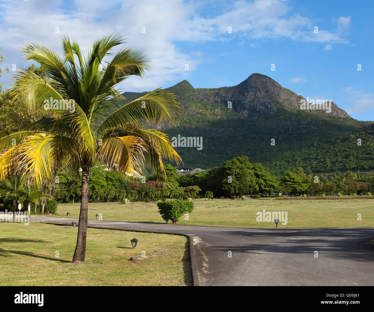Mauritius. The road at the hill and tropical plant Stock Photo - Alamy