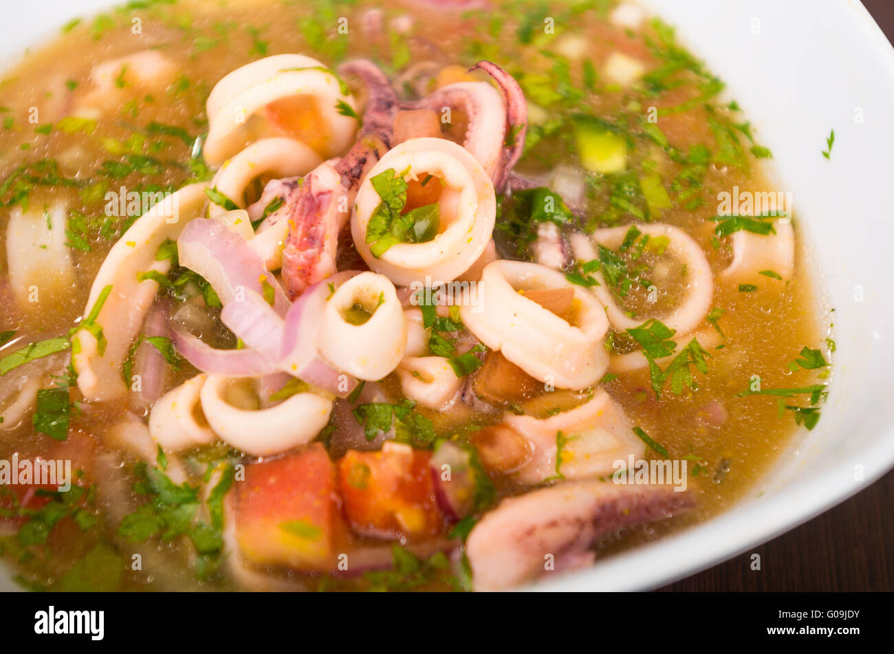Traditional ceviche on ecuadorian style, squid and coriander with ...