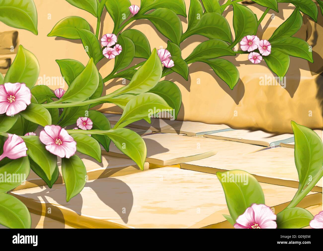 Creeping Plant With Flowers Stock Photo - Alamy