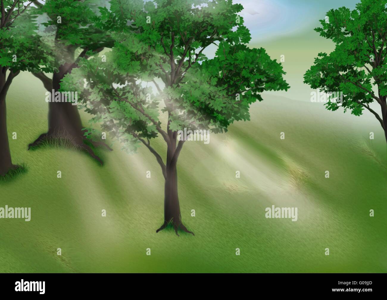 Grove In The Morning Stock Photo - Alamy