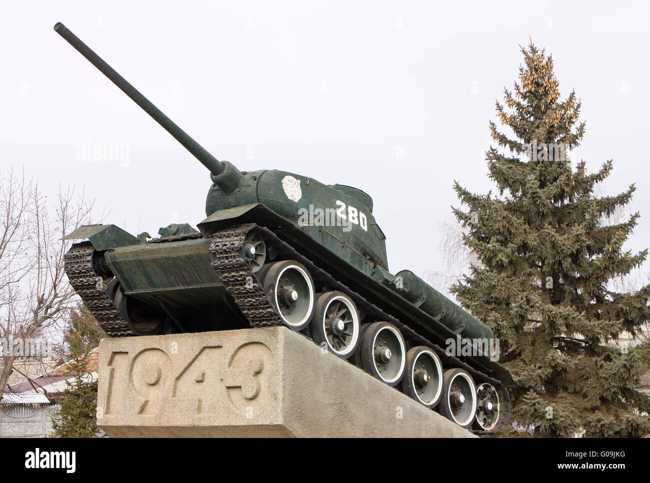 Solid old trees hi-res stock photography and images - Alamy