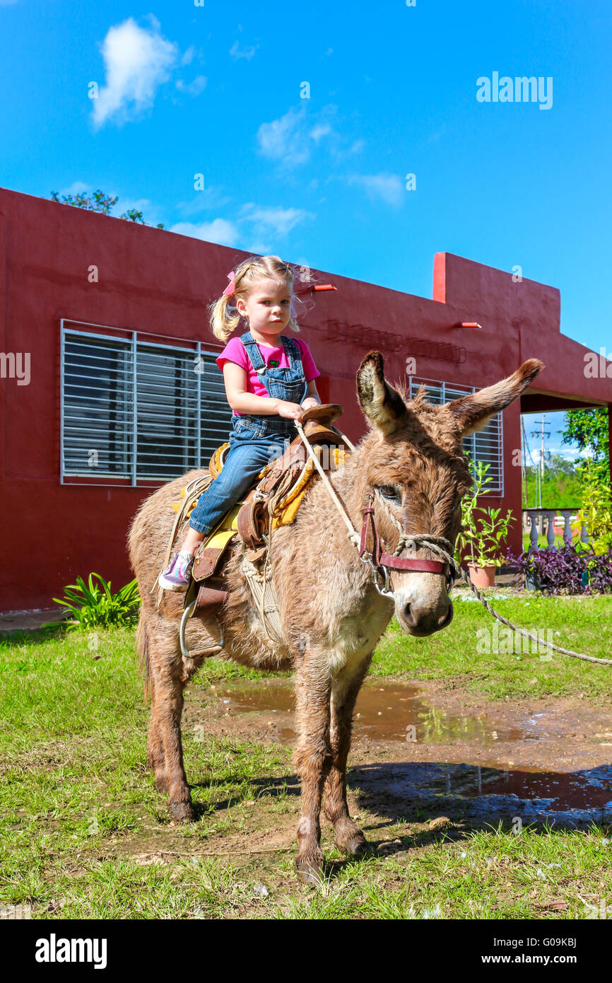 child riding a miniature donkey Stock Photo - Alamy
