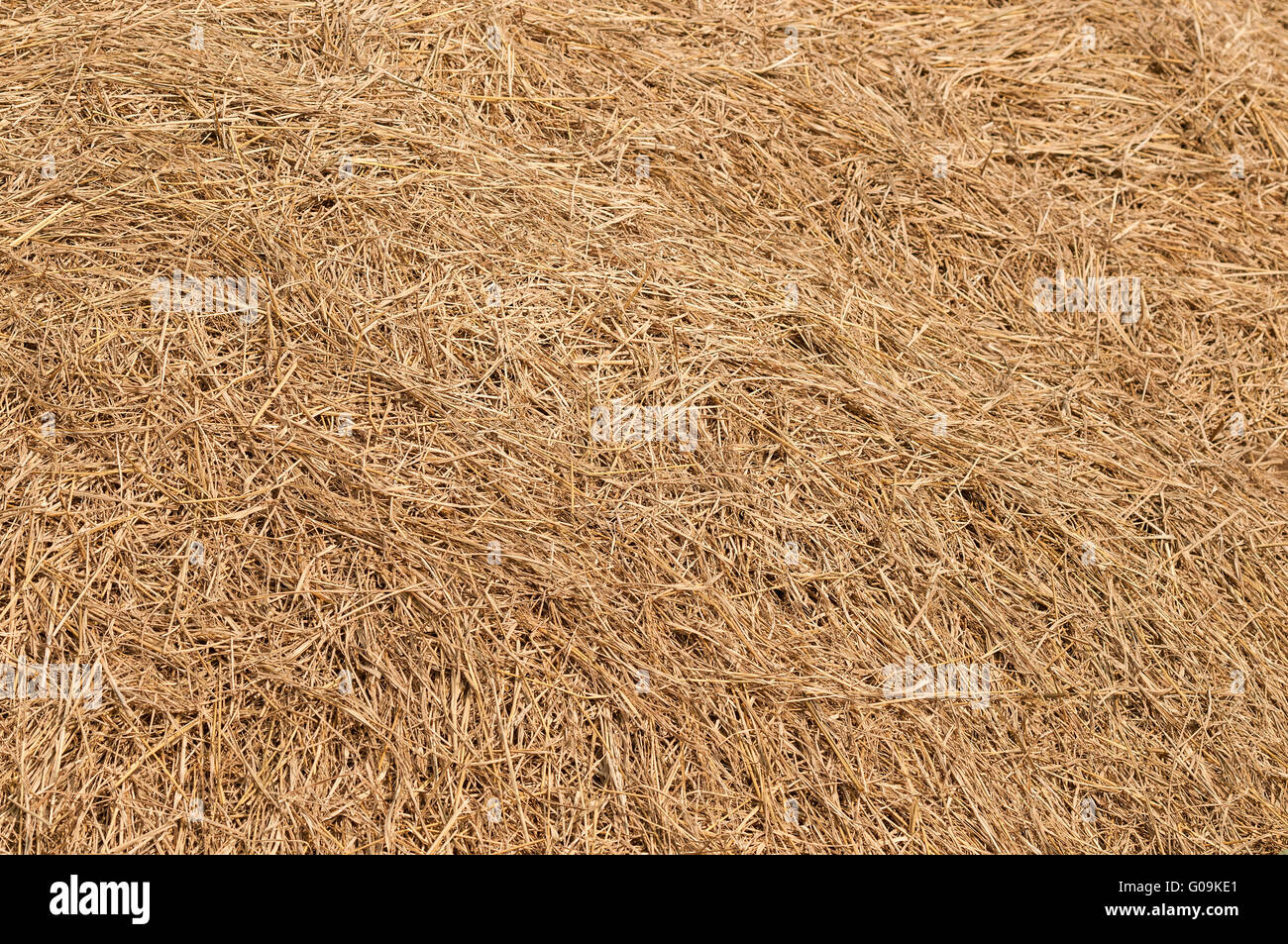 Farm barn haystack hi-res stock photography and images - Alamy