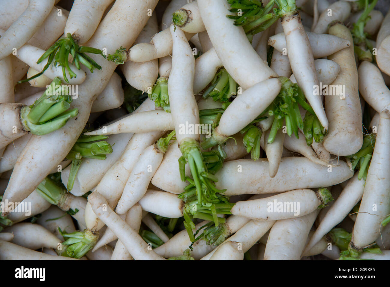 East asian radish hi-res stock photography and images - Alamy