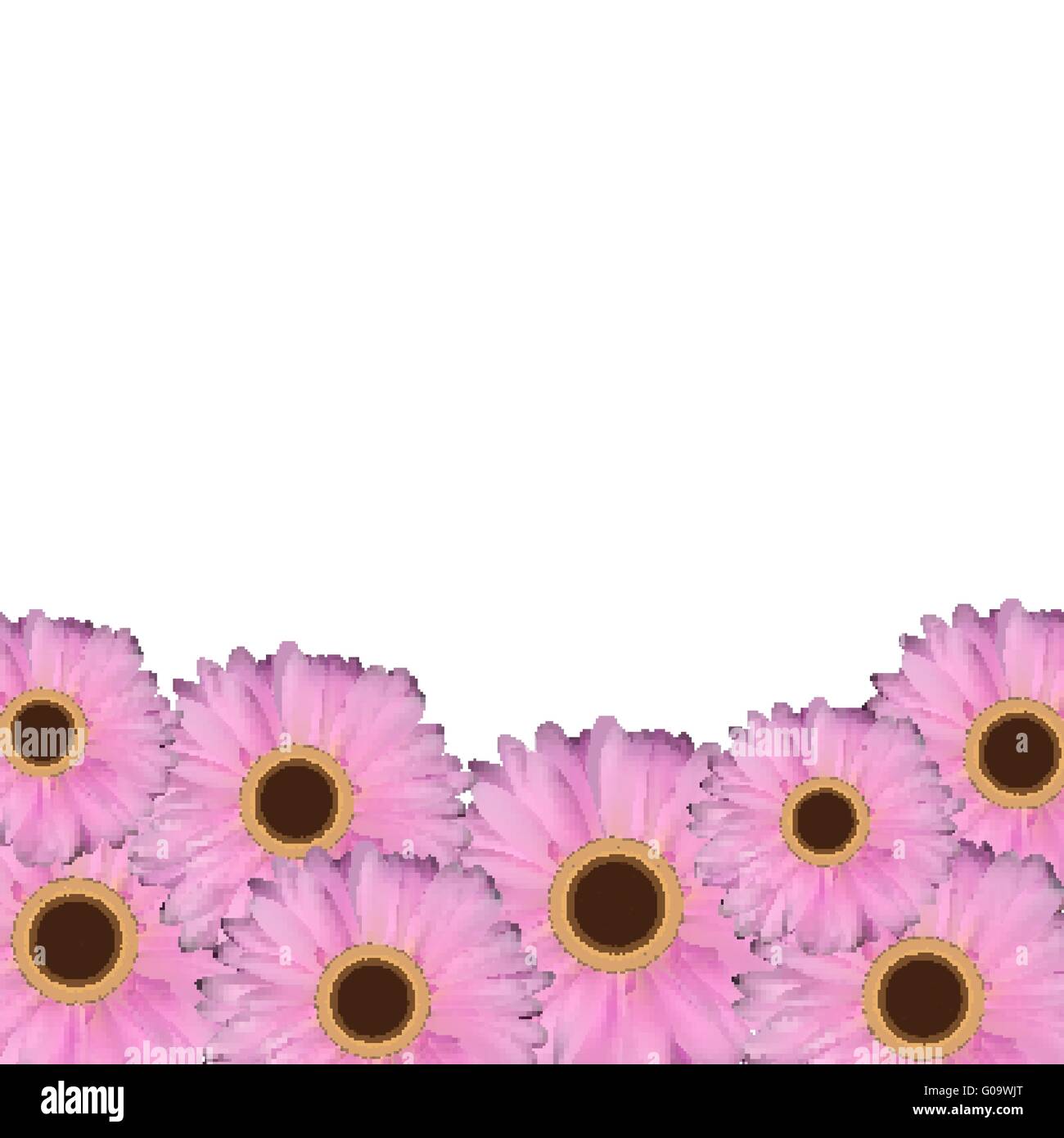 Gerbera Flower Natural Background Vector Illustration Stock Vector ...